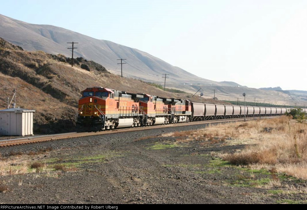BNSF 5049